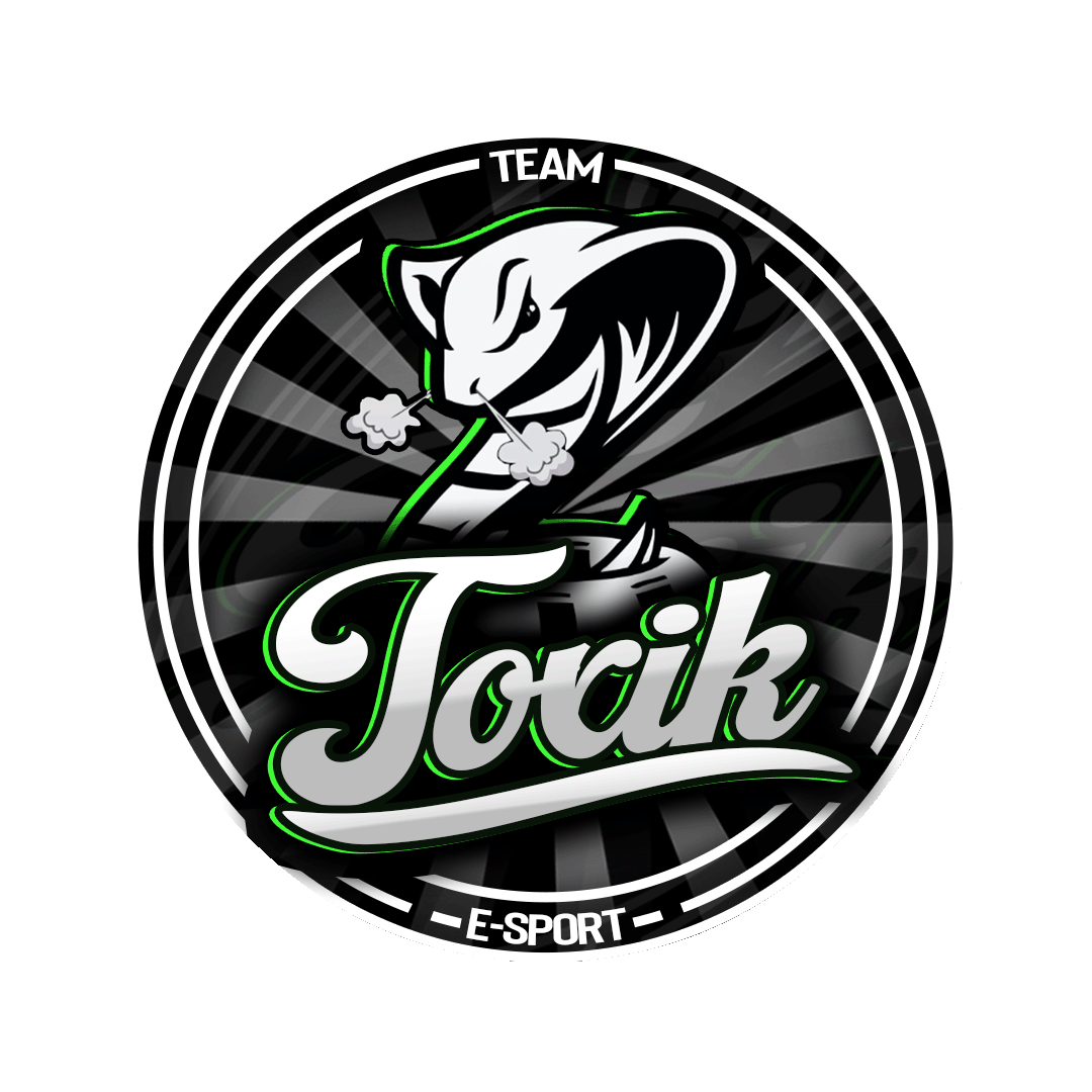 Page d'accueil boutique - TeamPulseShop